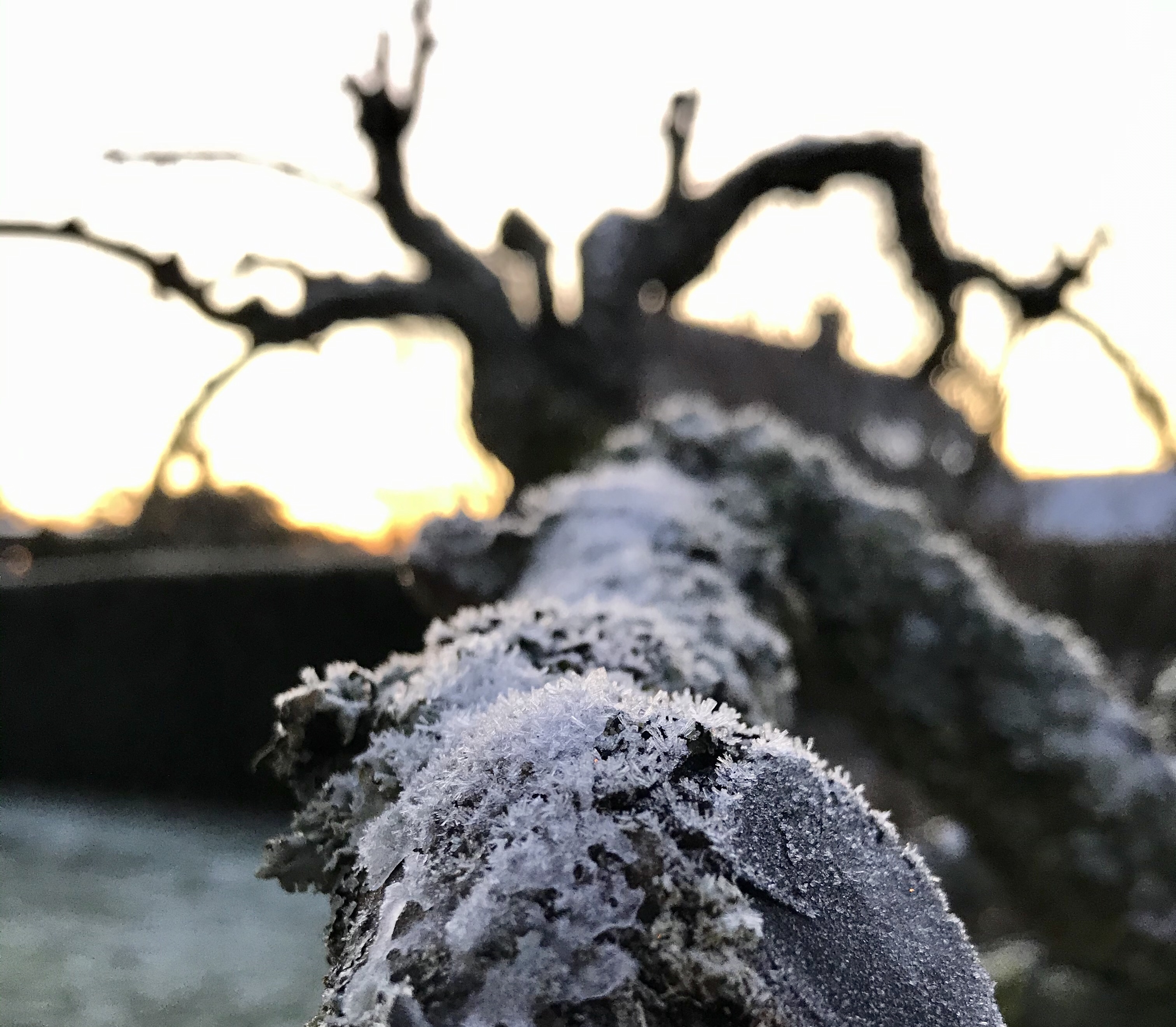 Anders braskar… | JULPUSSAR